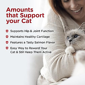 Nutri-Vet Cat Hip & Joint Paw Gel | Cat Joint Supplement | Glucasomine, MSM, and Chondroitin | Tasty & Easy to Give | 3 Ounce Tube