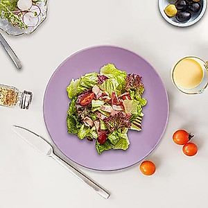 Txbewr Dinner Plates Set of 6, 8-inch Serving Ceramic Plates for Steak Pasta Salad Snacks Dessert, Easy to Clean Salad Plates Colorful Plates for Family, Party, Restaurant Use (Purple)