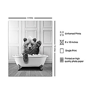 Bear Wall Decor - Bear Wall Art - Funny Bathroom Decor for Women, Kids - Bathroom Pictures - Bath Wall Decor - Cute Modern Bathroom Accessories - Cool Unique Bathroom Sign- Powder Room - Restroom Sign