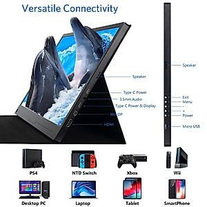 Portable Monitor - 17.3 Inch 1080P FHD IPS HDR Type C FreeSync Gaming Monitor with Type-C HDMI mini DP Speaker for Xbox PS4 Switch Laptop PC Phone Mac Surface, with Smart Case VESA mount (Renewed)