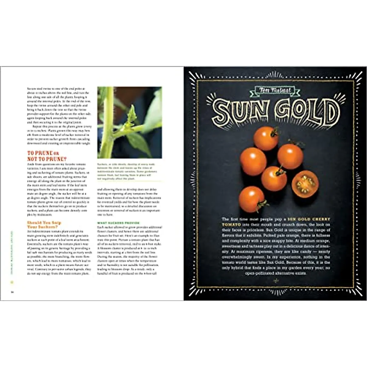 Epic Tomatoes: How to Select and Grow the Best Varieties of All Time