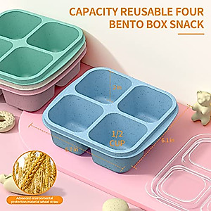 RGNEIN Bento Snack Boxes (4 Pack)- Reusable 4-Compartment Meal Prep Containers for Kids and Adults, Perfect Food Storage Containers for School, Compact and Stackable (Wheat(Green/Blue/PK/Beige))