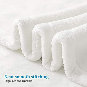 Flannel Blankets, Warm Decor Fleece Throw Blanket Soft Couch for Sofa Bed 50"X60" (Tiger)