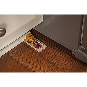 Tomcat 373312 Wooden Mouse Trap (1 Case of 48 Traps)