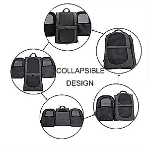 Apollo Walker Pet Carrier Backpack for Large/Small Cats and Dogs, Puppies, Safety Features and Cushion Back Support for Travel, Hiking, Outdoor Use (Black)