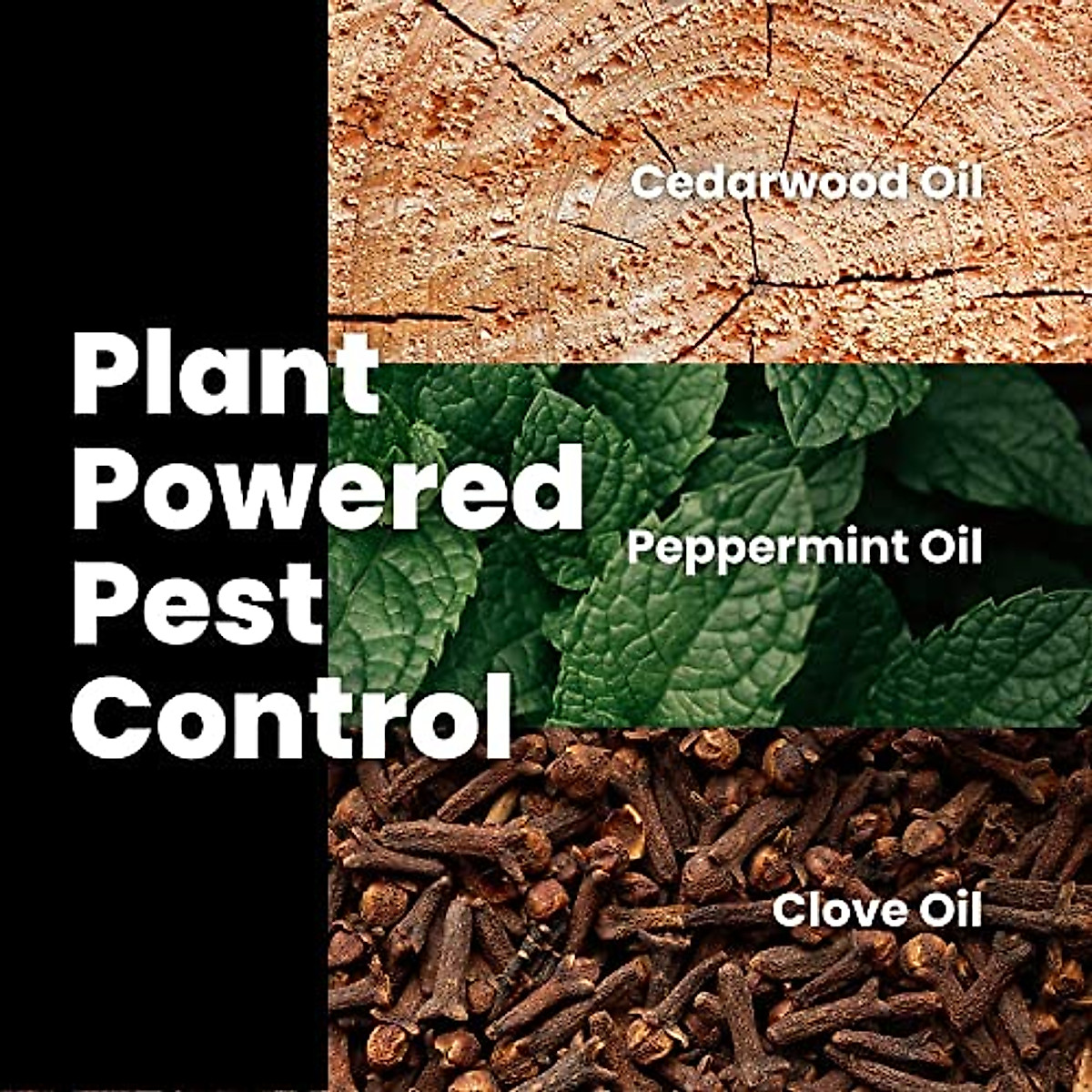 Natrapest Yard Spray - Ready to Use Flea, Tick & Mosquito Yard Spray with Natural Essential Oils - Plant Based Formula is Plant, Pet & Kid Safe - Insect Killer, Treatment & Repellent - 32 oz