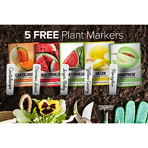 Melon Fruit Seeds For Planting Home Garden 5 Variety Packs - Hales Best Cantaloupe, Crimson Sweet Watermelon, Yellow Canary Melon, Green Flesh Honeydew Melon, Sugar Baby Watermelon by Gardeners Basics
