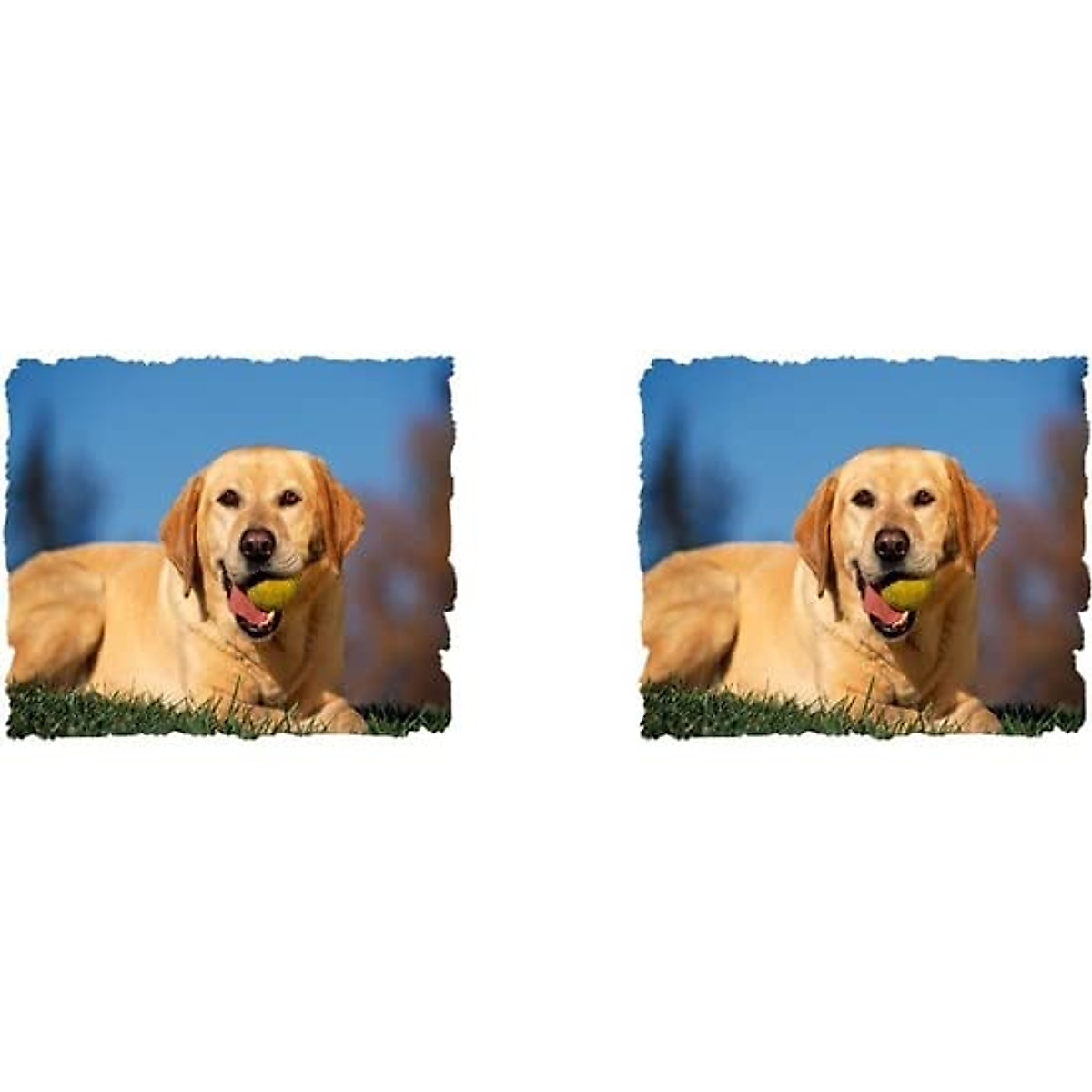 CafePress YELLOW LAB Mug Ceramic Coffee Mug, Tea Cup 11 oz