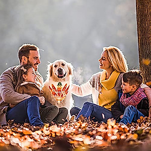 Thanksgiving Dog Bandana with Turkey Pattern,Adjustable Thanksgiving Dog Scarf,Holiday Bandanas,Fall Pet Bandana Reversible Triangle Bibs Scarf for Small Medium Large Dogs Cats(Turkey Leaves)