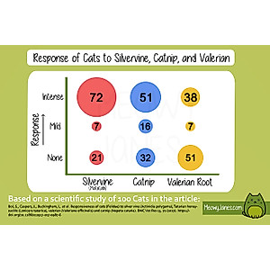 Meowy Janes Matatabi Chew Sticks - An All Natural Silvervine Cat Toy and Cat Treat - Catnip Alternative