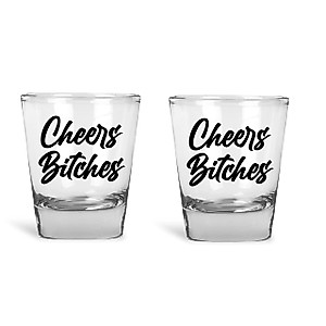 Artisan Owl Cheers Bitches Ladies' Night Celebration Funny Shot Glass (2)