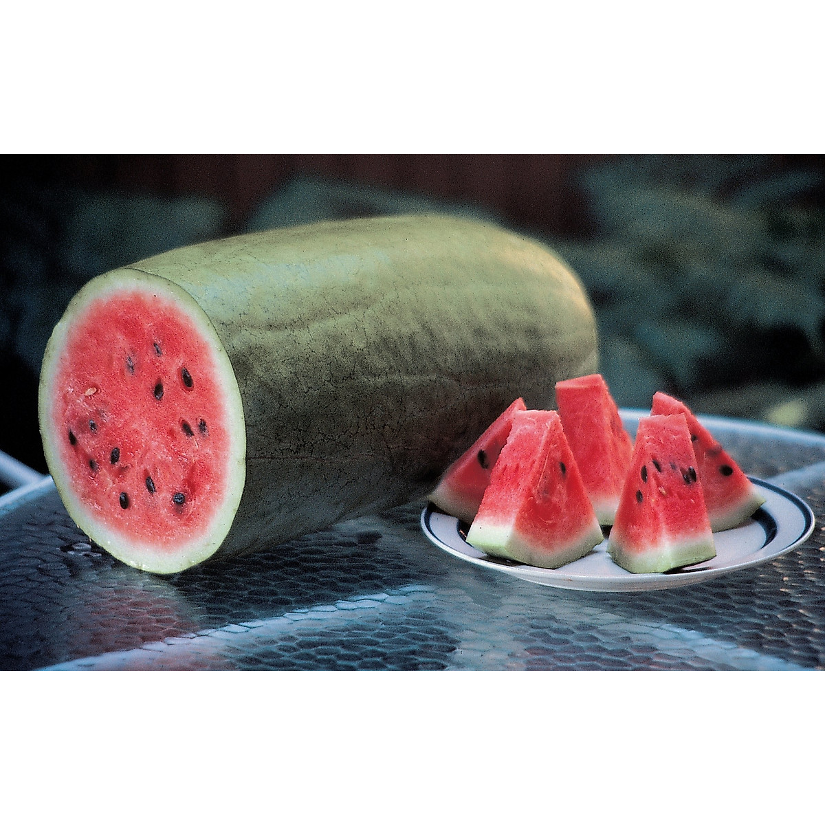 Burpee Charleston Gray (Heirloom) Watermelon Seeds 50 seeds
