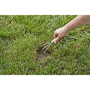 Scotts EZ Patch Lawn Repair For St. Augustine Lawns - 3.75 lb., Ready-to-use Mulch, and Fertilizer Lawn Repair, Repairs St. Augustinegrass, Does Not Contain Grass Seeds, Covers up to 85 sq. ft.