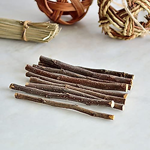 Youngever 300g Apple Sticks, Treat Food, Pet Chew Toys for Rabbits, Chinchillas, Guinea Pigs, Hamsters