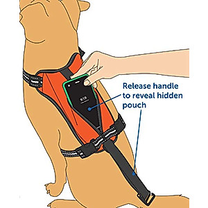 PetSafe Walk-Along Outdoor Dog Harness, No-Pull Solution, Water-Resistant, Zippered Pouch for Storage, Built-in Car Restraint, Medium