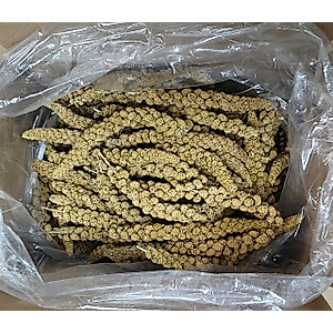 Penn Seed Spray Millet Heads (No Stems Only Edible Tops) 5 lbs.