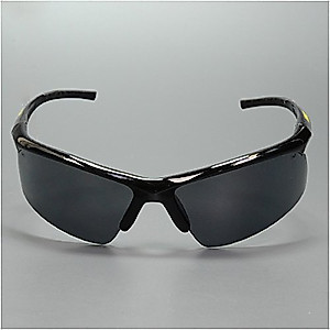 Dewalt DPG51-2C Radius Smoke 10 Base Curve Lens Protective Safety Glasses,Blacks