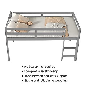 LoLado Loft Bed Twin,Loft Bed for Kids with Ladders and Guard Rails,Solid Wood and Sturdy Low Loft Bed Frame for Boys Girls and Junior,No Box Spring Needed,Easy to Assembly,Twin(Grey)