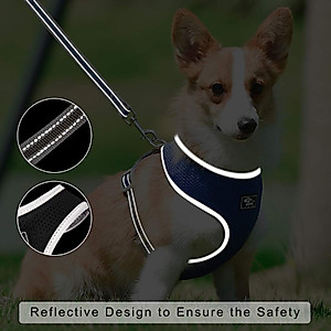 Puppy Harness and Leash Set- XS and Small Dog Harness- Soft Mesh Halter- Adjustable Reflective Teacup Dog Harness- No Pull No Choke (XS, Pink)