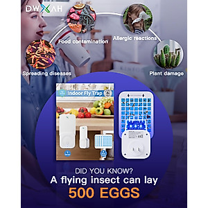 Indoor Fly Trap, Plug-in Bug Light Catcher with UV and Blue Light - Fruit Fly Traps for Indoors, Gnats, Mosquitoes, Flies, Moths,House Flies - Fly Traps Indoor for Home (2 Plug-in Base + 10 Refills)