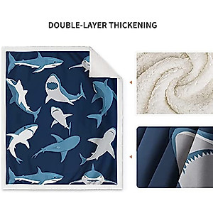 Jekeno Cartoon Shark Sherpa Blanket Blue Soft Warm Print Throw Blanket for Kids Adult Office Gift 50"x60"