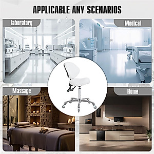 FRNIAMC Ergonomic Saddle Stool Rolling Adjustable, Hydraulic Heavy-Duty (350 lbs) Stool Chair for Dental Lab Salon Massage Studio Office(White, With Backrest)