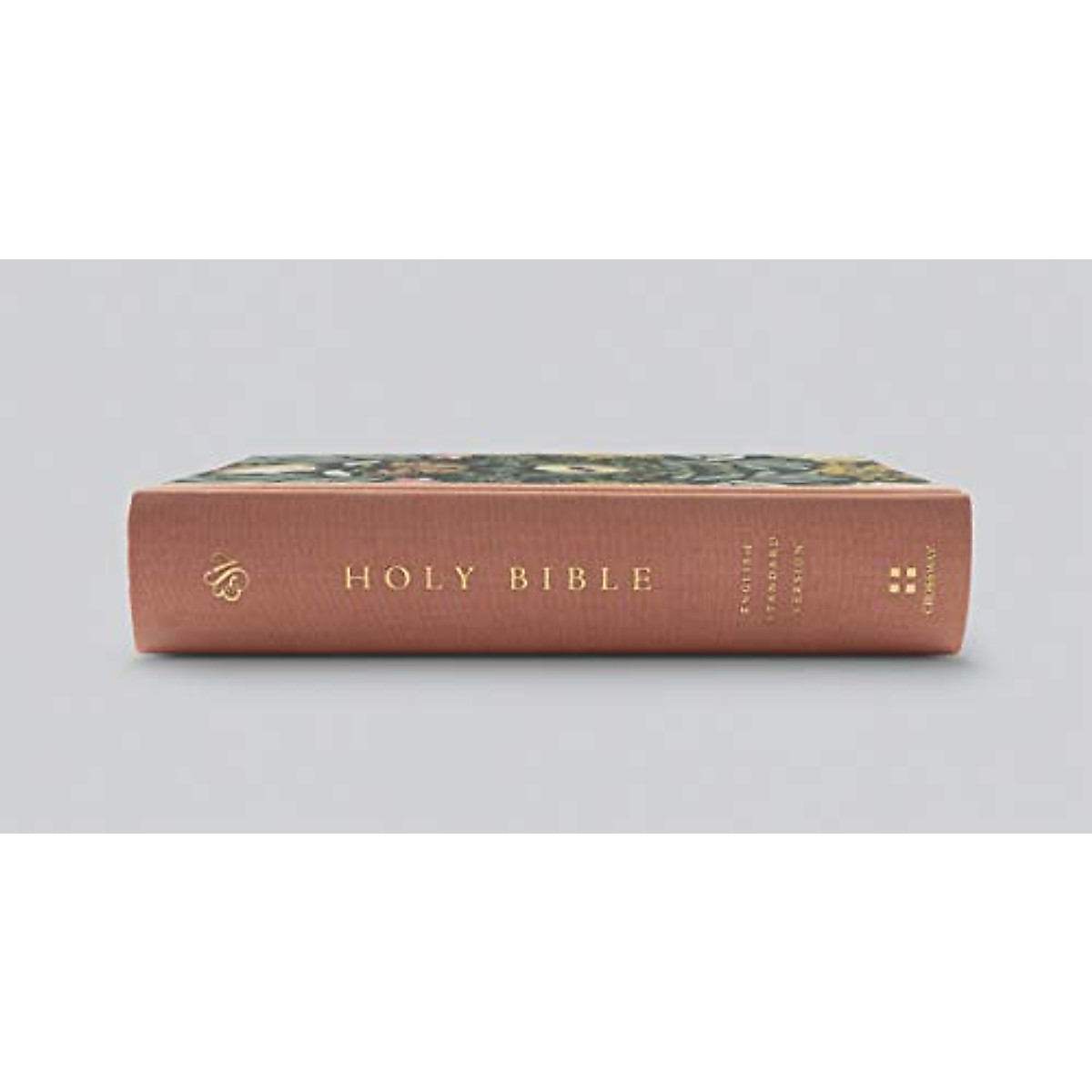 ESV Single Column Journaling Bible, Artist Series (Hardcover, Ruth Chou Simons, Be Transformed)