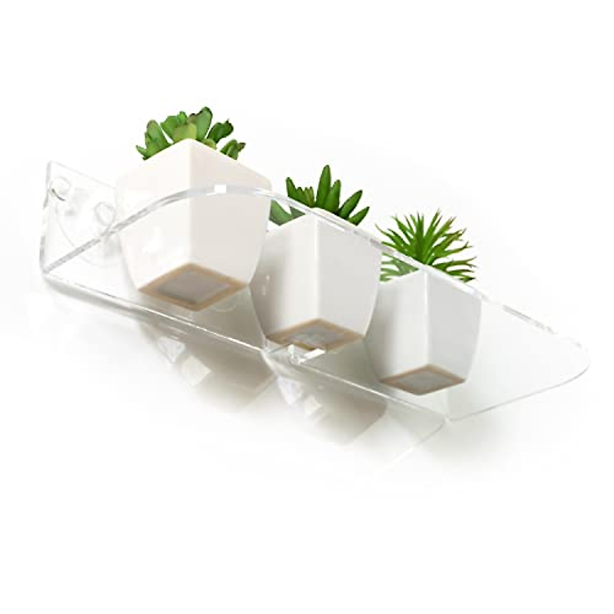 Jamborum Window Garden Double Ledge Acrylic with Suction Cups