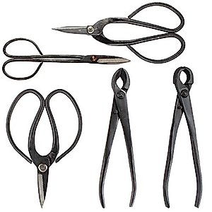 BambooMN 5 Piece Bonsai Sheal Tool Set, Concave Cutter, Knob Cutter, Bonsai Trimming, Beginner Friendly - 1 Set