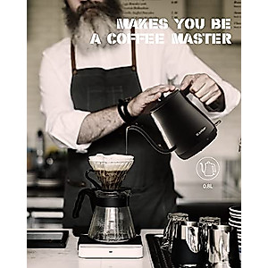 Electric Kettle, 100% Stainless Steel BPA-Free Electric Tea Kettle, Gooseneck Kettle, Electric Teapot with Auto Shut-Off Protection,1000 Watt Quick Heating, Keebar, Black, XH-W081-B