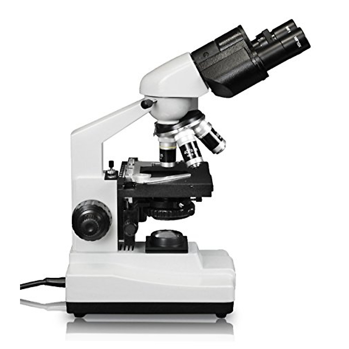 Vision Scientific VME0007B-100-LD Binocular Compound Microscope, 10x WF Eyepieces, 40x—1000x Magnification, LED Illumination, Coaxial Coarse & Fine Focus, 1.25 N.A. Abbe Condenser