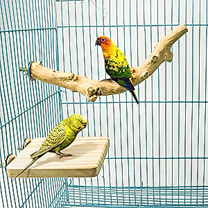 5 PCS Bird Perch Wood Stand Pole，Bird Wood Perch Platform Exercise Playground Toy for Pet Parrot Budgie Parakeet Cockatiel Conure Lovebirds Cage Accessories Toys (H01)