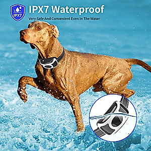 Brapezie No Shock Dog Training Collar, 2000ft Range Vibrating Dog Collar, IPX7 Waterproof Dog Vibration Collar, No Prongs and No Shock, only Sound and Vibration Collar for Training Dogs