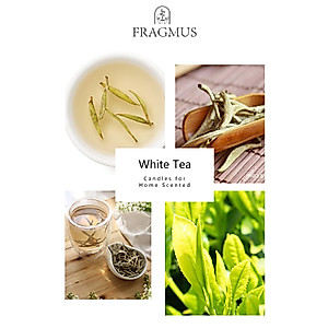 FRAGMUS Candles for Home Scented, White Tea Refreshing Scents, Natural Soy Wax Candle Jar, Stress Relief Candles Gifts for Women (3.5 OZ)