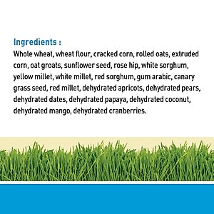 Living World Guinea Pig Fruit Treat Sticks, 4-Ounce