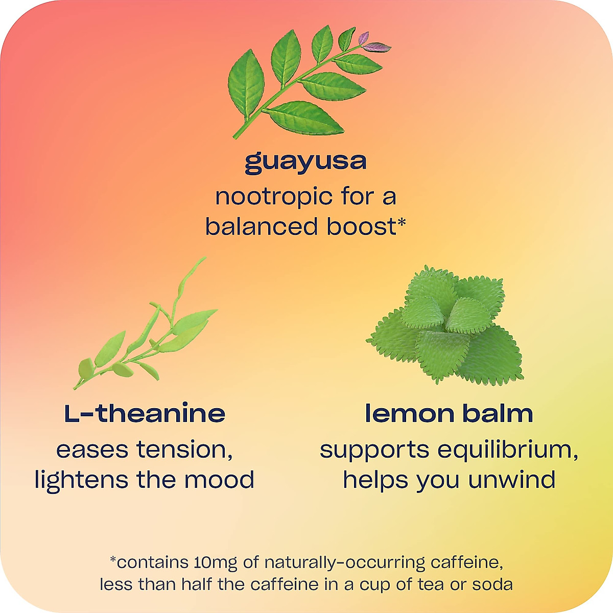 Recess Zero Proof Craft Mocktails, Alcohol Free Drinks, With Adaptogens, Non-Alcoholic Beverage Replacement, Mixer, Celebration, Party, (Sampler, 12oz, Pack of 12)