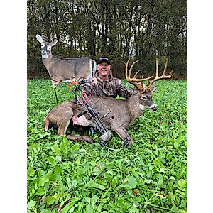 Jak-Knife by Wasp Archery