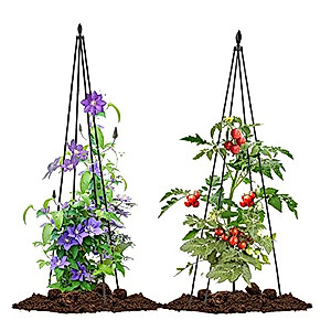 Lalahoni 2 Pack Garden Trellis for Climbing Plants Outdoor Indoor Pot | 67inch Tall Plants Trellis Support for Climbing Vines Vegetables Plants | Garden Obelisk Trellis, Lightweight, Black
