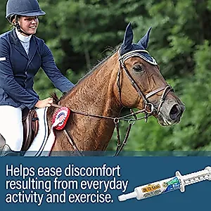 Absorbine Bute-Less Long-Term Horse Comfort & Recovery Supplement Paste, Gentle on Stomach, Devil’s Claw, Vitamin B-12, Yucca, 1oz Syringe / 3 Doses