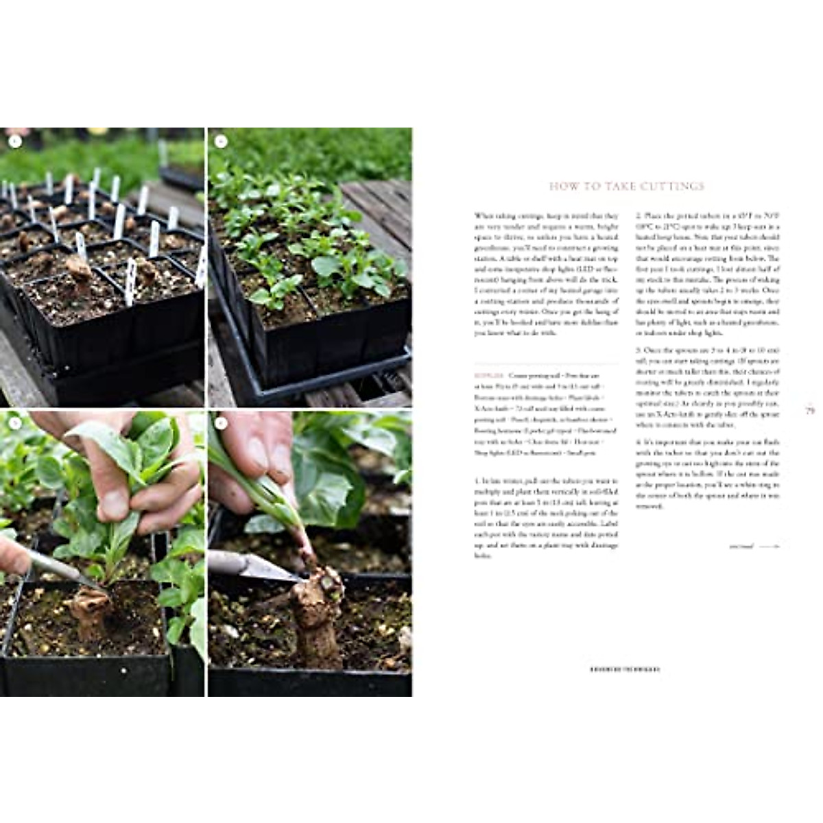 Floret Farm's Discovering Dahlias: A Guide to Growing and Arranging Magnificent Blooms (Floret Farms x Chronicle Books)