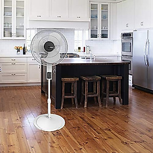 Lasko S16614 Oscillating 16″ Adjustable Pedestal Stand Fan with Timer, Thermostat and Remote for Indoor, Bedroom, Living Room, Home Office & College Dorm Use, 16 Inch, White