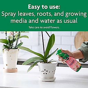 Miracle-Gro Ready-To-Use Orchid Plant Food Mist, 8 oz., Orchid Food Feeds Plants Instantly, 1 Pack