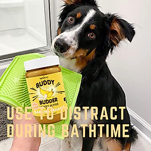 Bow-Wow Blueberry (probiotic + prebiotic) + Cranberry Canine (hip + joint) BUDDY BUDDER, 100% Natural Dog Peanut Butter, Healthy Peanut Butter Supplements, Made in USA (17oz jars)