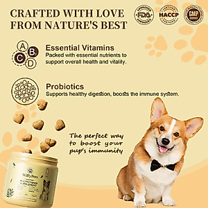 11-in-1 Dog Multivitamin for Small, Medium & Large Breed Dog,Vitamin Dog Treat, Dog Vitamins and Supplements, Vitamin Mixture for Skin & Coat by WiffyPets,Boosts Immunity | 90 Count,Chicken