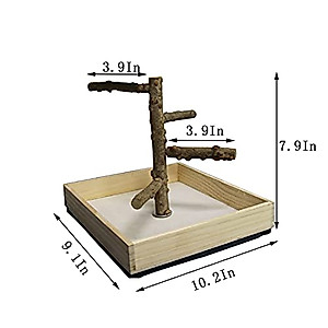 Hamiledyi Bird Perch Stand Tabletop,Parrot Playground Bird Gym Natural Wooden Perch PlayStand Platform for Parrots Parakeets Canaries Cockatiels Conure Lovebirds