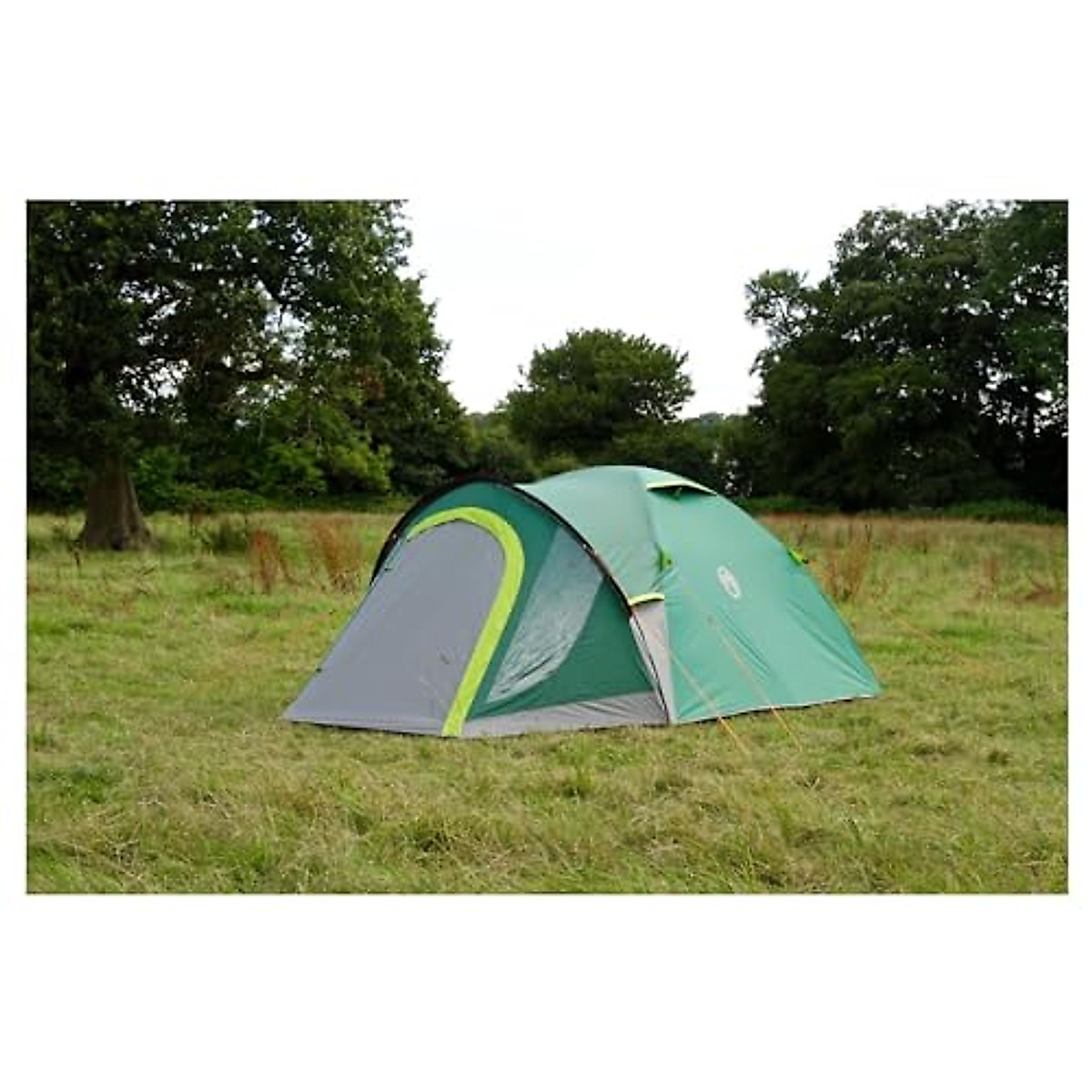 Coleman Kobuk Valley 4 Plus Tent - Green/Grey, One Size
