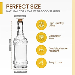 BULK PARADISE Assorted Clear Glass Bottles with Corks, 6 Pack, 2.5in X 9in, 16oz