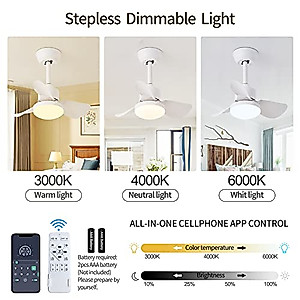 EMIKIRII Ceiling Fan with Lights and Remote,21'' Small Modern Ceiling Fan,Smart APP Control,Dimmable Metal Blades Flush Mount Quiet Mini Ceiling Fans Lights for Kitchen Dining Room Bedroom