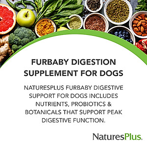 Natures Plus FurBaby Digestive Support for Dogs - 7.4 oz - Promotes Optimal Digestion - Non-GMO - 60 Servings