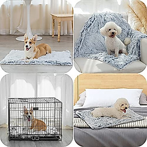 PJYuCien Fluffy Fleece Calming Pet Throw Blanket, Super Soft and Warm for Indoor Cats and Dogs, Small 16 * 24", Machine Washable, Grey Puppy Blanket